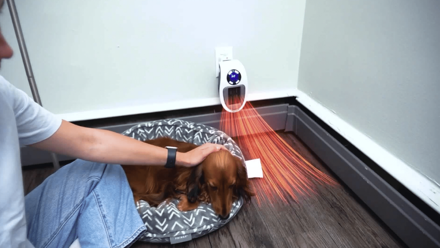 Top 5 Space Heaters of 2025 (Alpha) – Best Value Choice